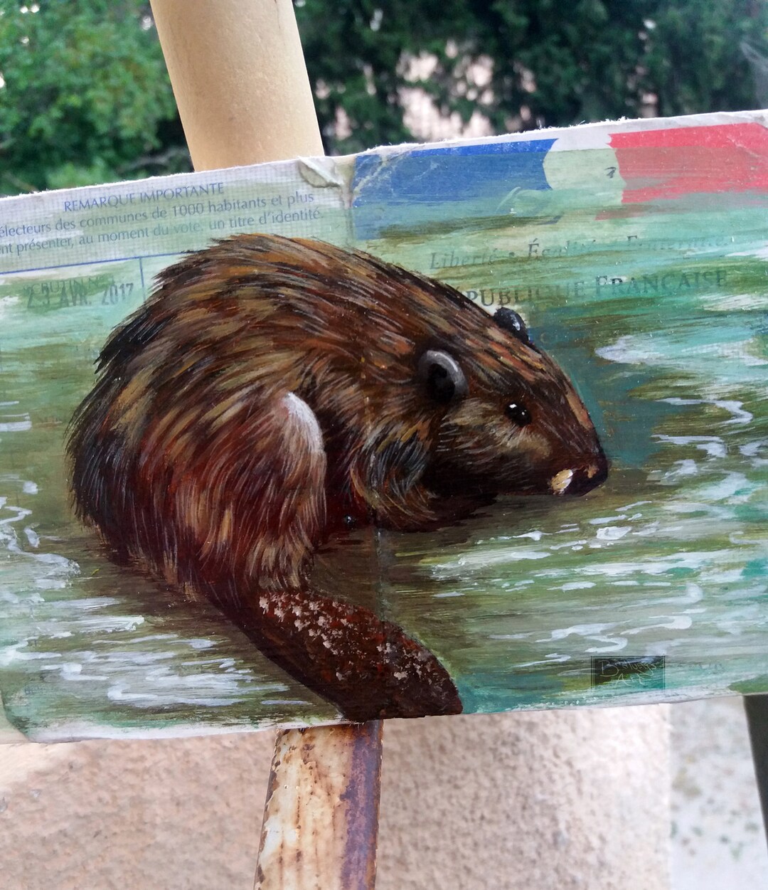 Castor en el agua Pintura acrílica sobre madera - Etsy España