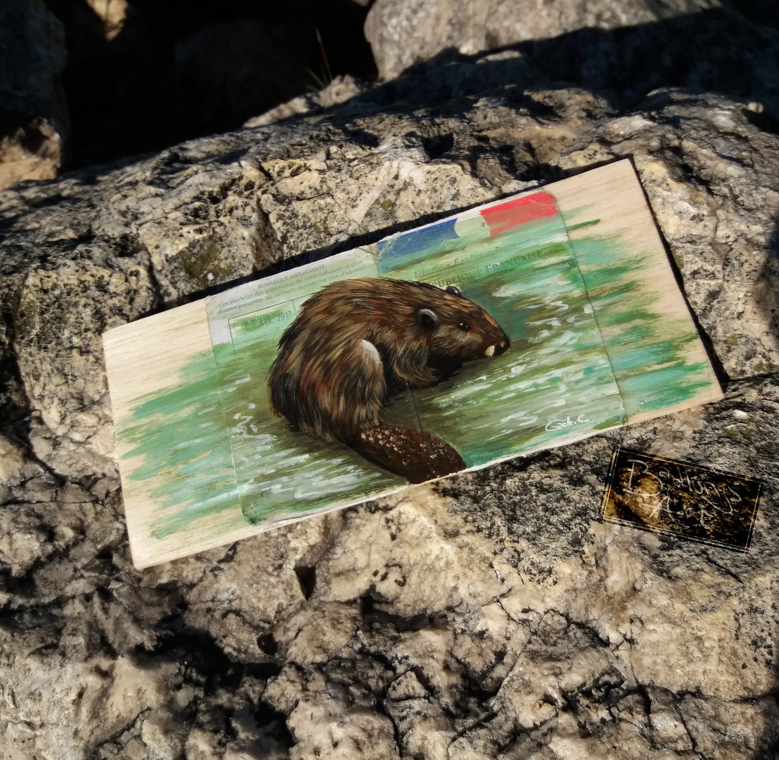 Beaver in Water Acrylic Painting on Wood - Etsy