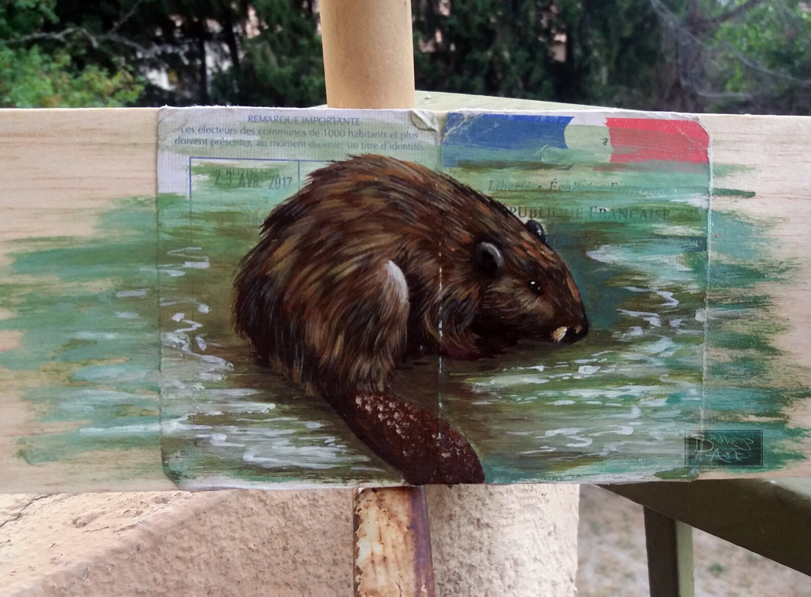 Beaver in Water - Acrylic Painting on Wood - Etsy