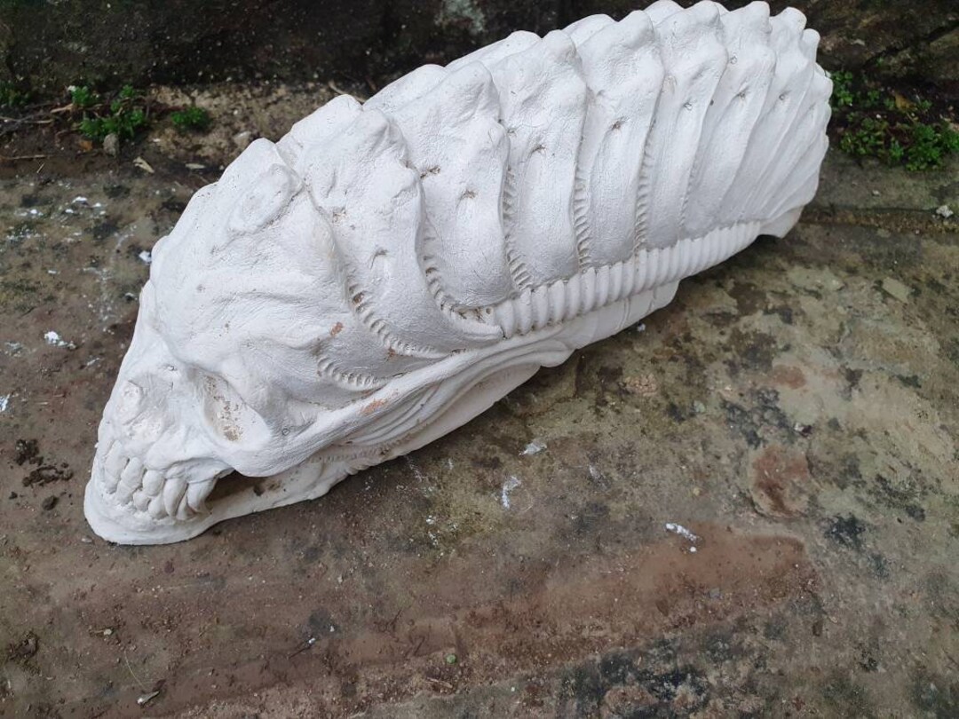 Hand-made Alien Skull Sculpture - Etsy