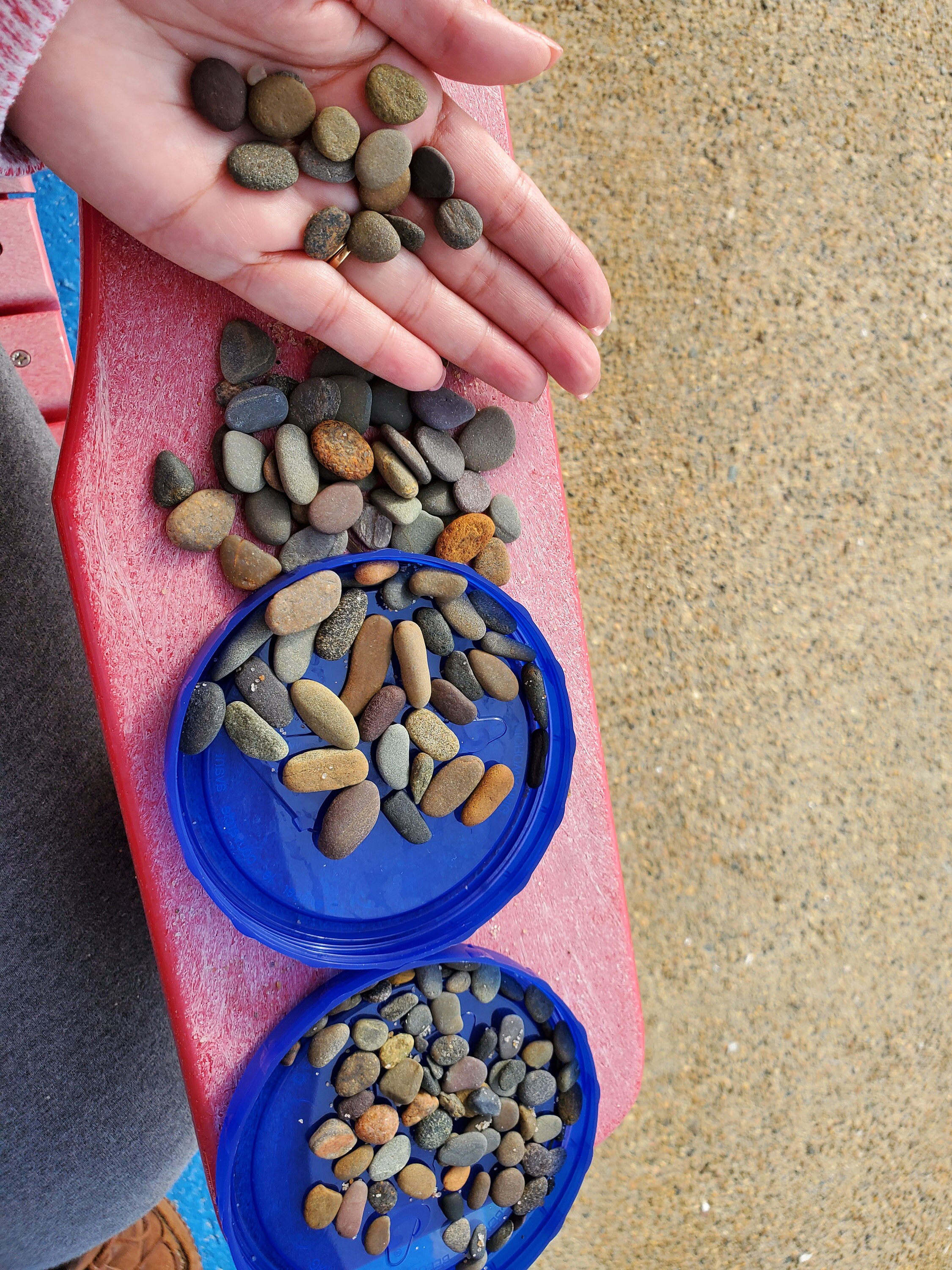 Mini Framed Art Turtles Pebble, Pebble Art Turtles Rock Art, Stones ...