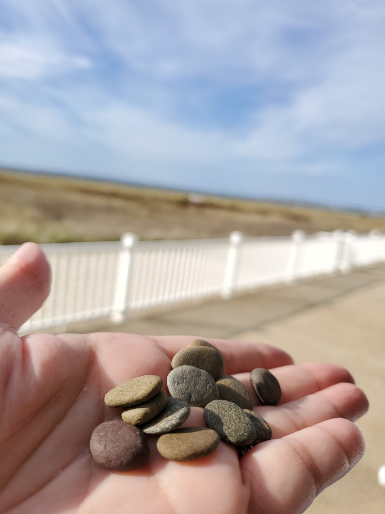 Mini Framed Art Turtles Pebble, Pebble Art Turtles Rock Art, Stones ...