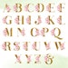 Bundle Watercolor Flowers Alphabet PNG Gold Letters Alphabet - Etsy