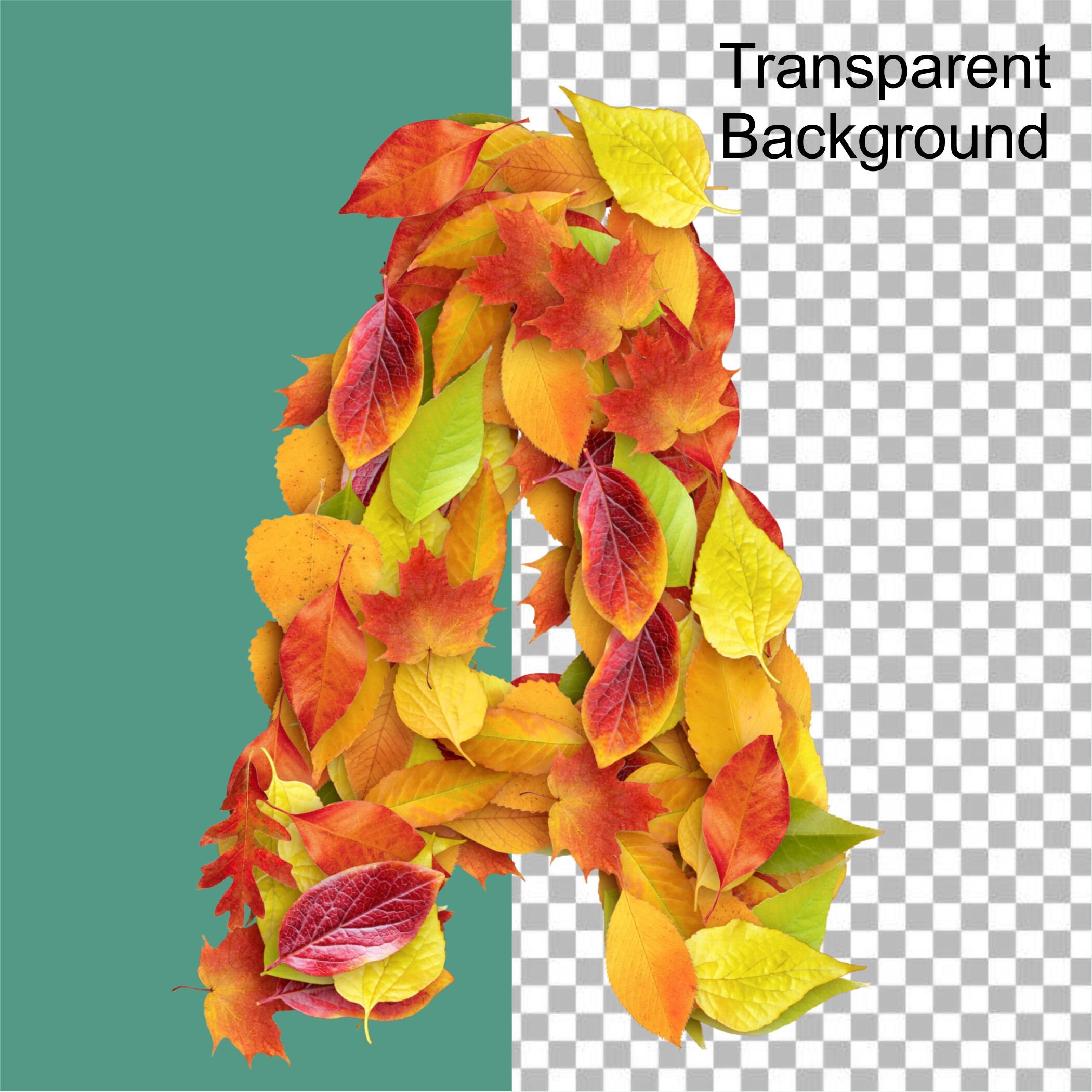 Fall Leaves PNG Letters Transparent Background Leaves - Etsy