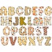 Fall Autumn Clipart Alphabet PNG, Doodle Alphabet, Transparent PNG ...