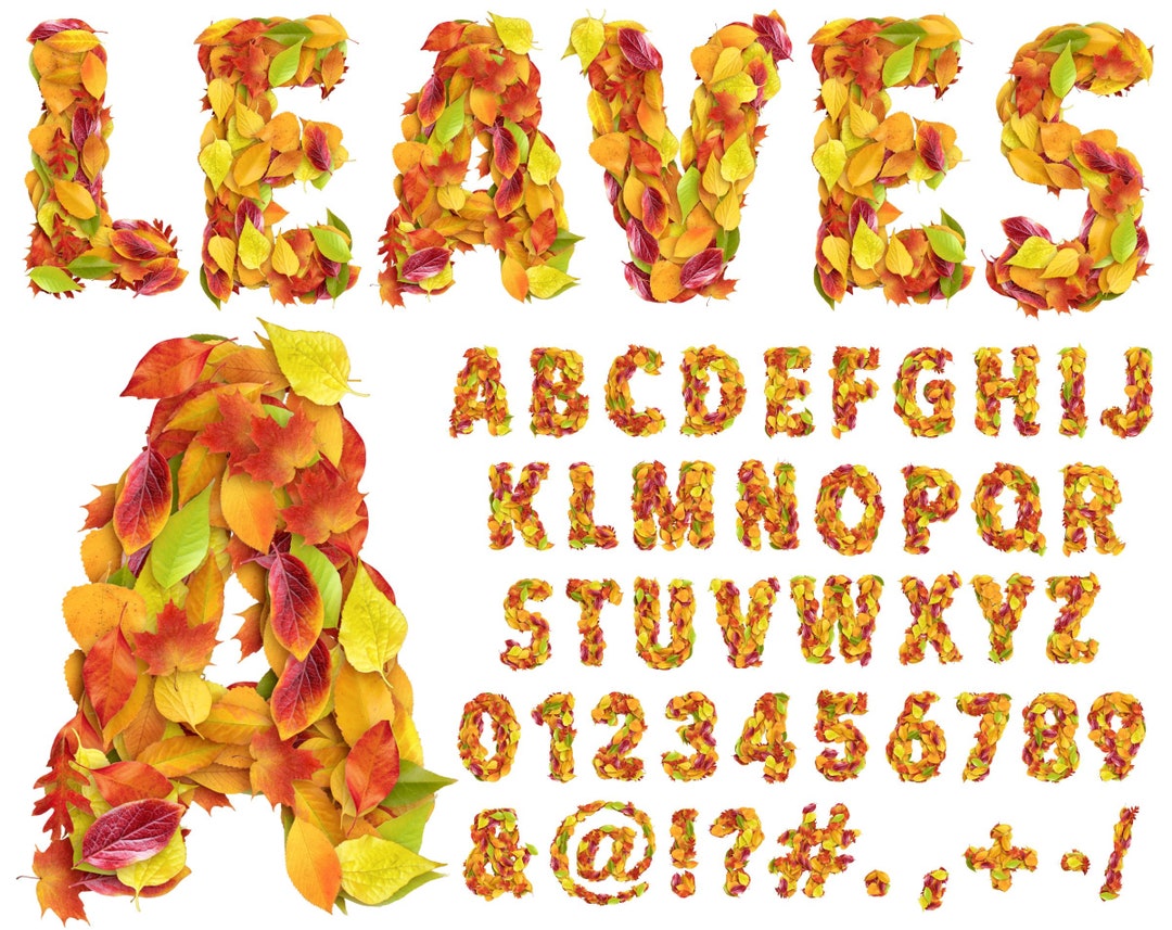 Fall Leaves PNG Letters, Transparent Background, Leaves Alphabet Clip ...