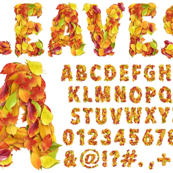 Alphabet With Leaves - Etsy