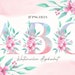 Bundle Watercolor Flowers Alphabet PNG, Pink Aqua Watercolor Alphabet ...