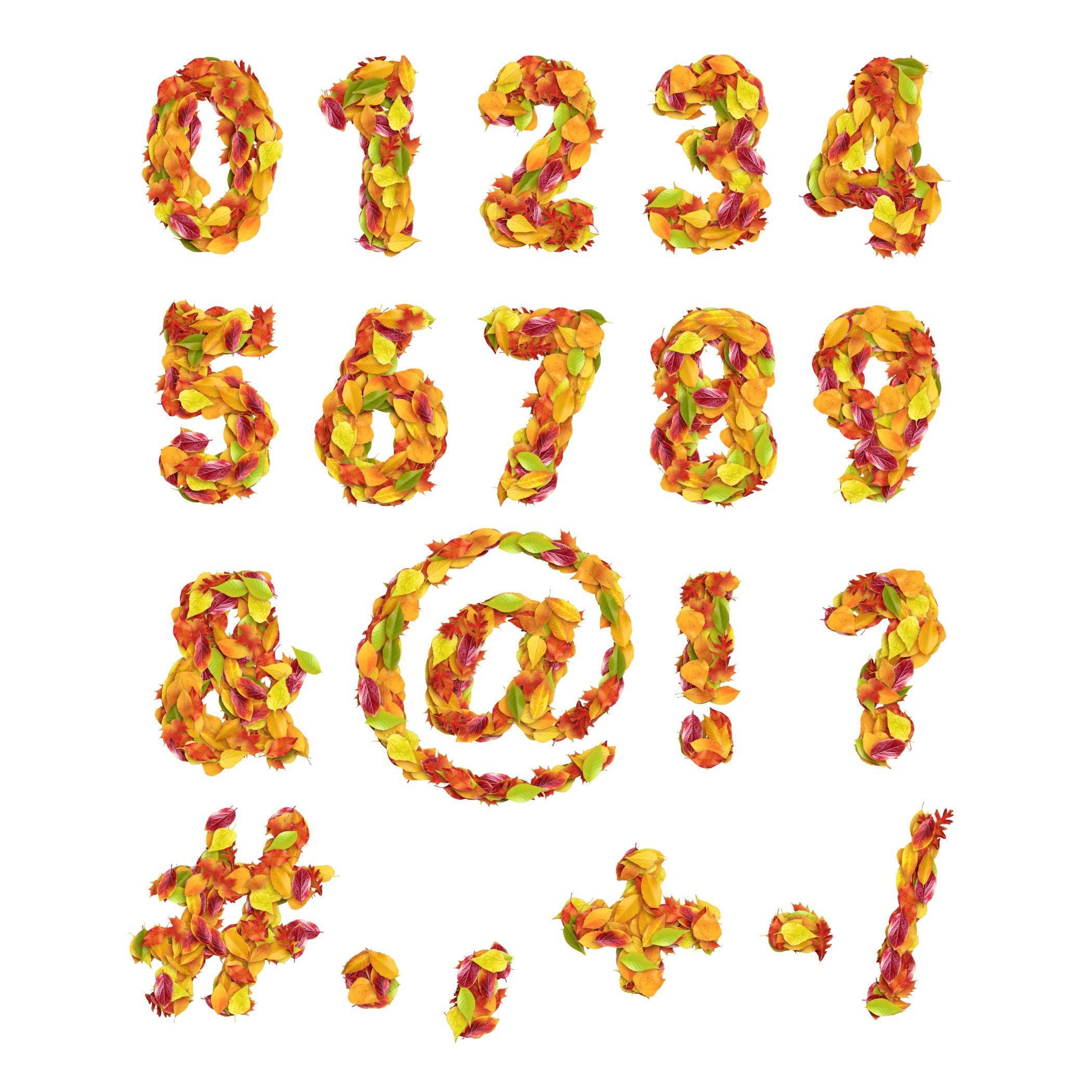 Fall Leaves PNG Letters, Transparent Background, Leaves Alphabet Clip ...