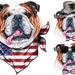 PNG Bulldog, Bandana, Bow Tie, Hair Bow, Crown, Top Hat, Sunglasses ...