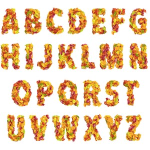Fall Leaves PNG Letters, Transparent Background, Leaves Alphabet Clip ...