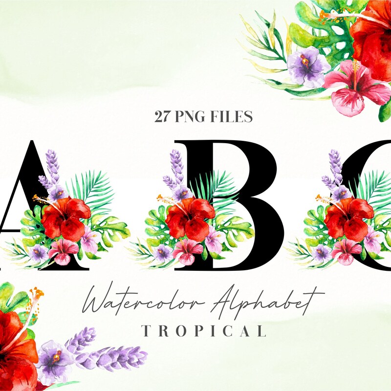 Hibiscus Clip Art - Etsy