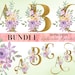 Bundle Watercolor Flowers Alphabet PNG Gold Letters Alphabet - Etsy