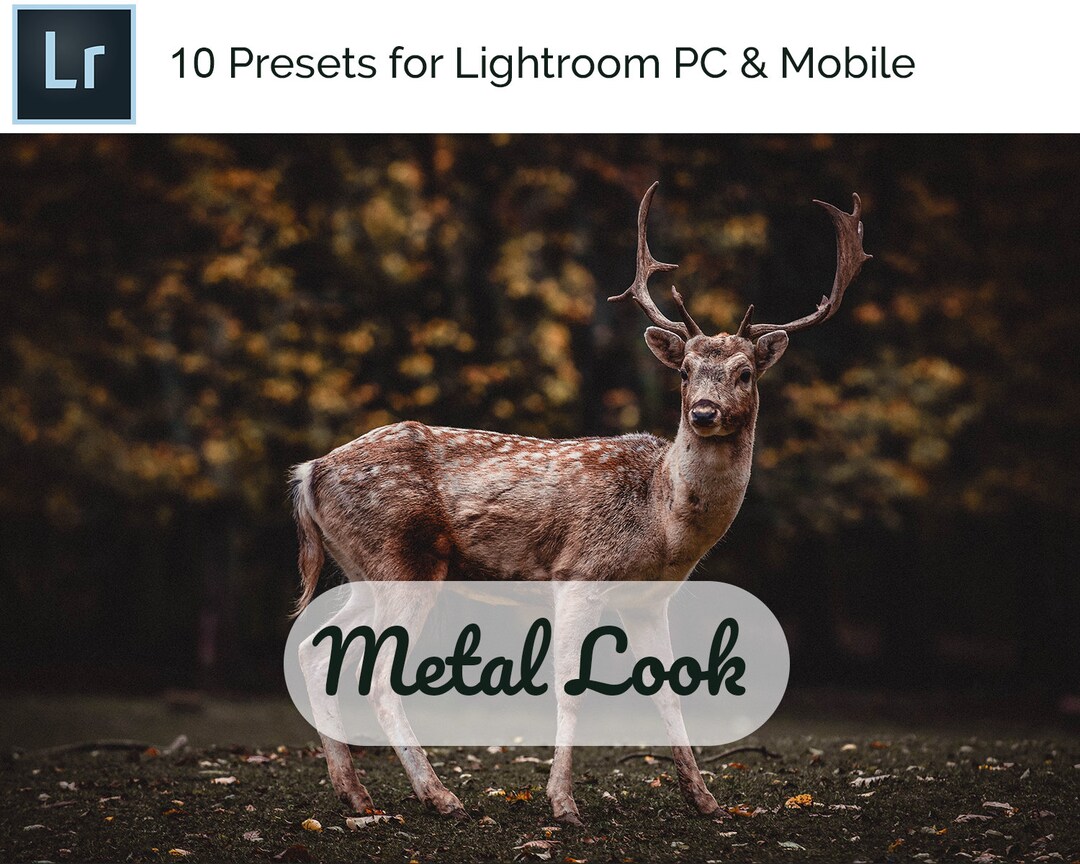 Metal Look Adobe Lightroom Presets Pack (PC & Mobile) - Etsy