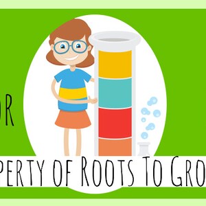 Behavior Bucks Classroom Management Game (token Economy System for ...