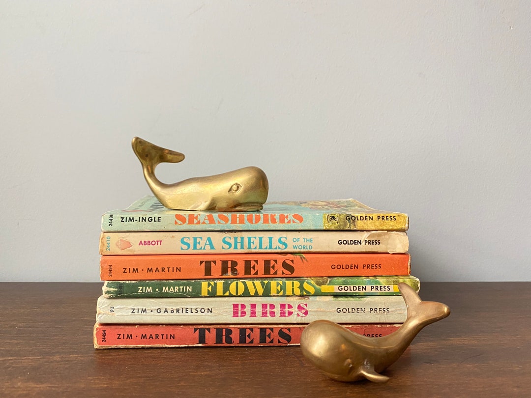 Mini Vintage Golden Nature Guide Books / Vintage Golden Guides / - Etsy