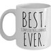 Best Computer Programmer Ever Mug Gift for Coder Gift for Nerd Gift ...