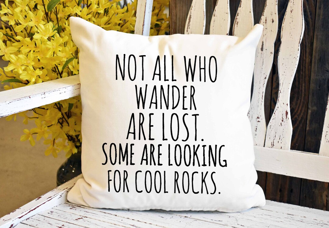 Funny Rock Collector Pillow, Geologist Gift, Geophysics Gift, Not All ...