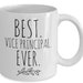 Vice Principal Mug, Best Vice Principal Ever, Leaving Job, Goodbye Gift ...