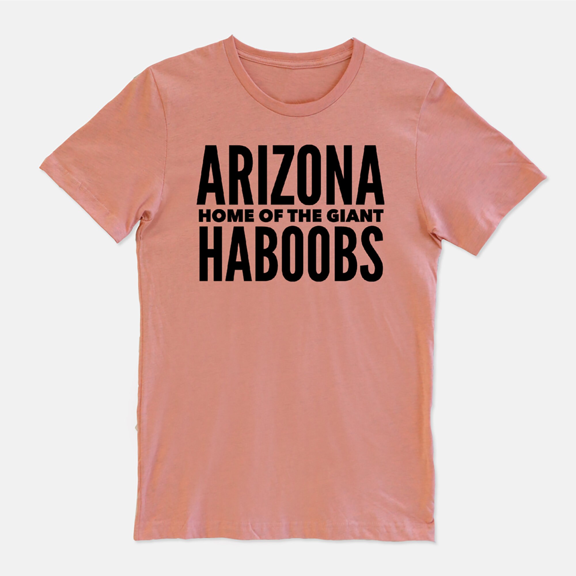 Arizona Home of the Giant Haboobs Bella Canvas Unisex | Etsy