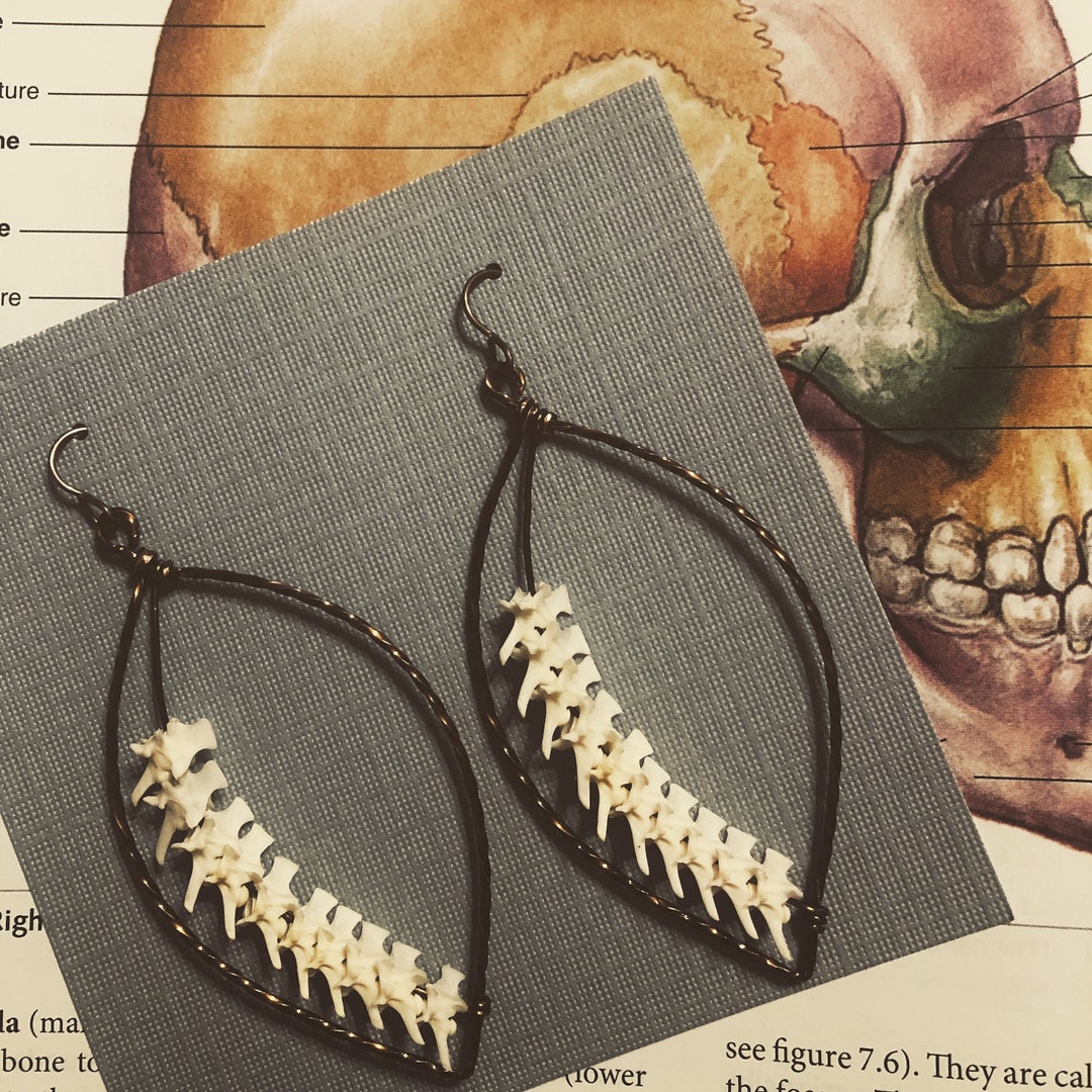 Brass & Bone Rattlesnake Vertebrae Earrings - Etsy