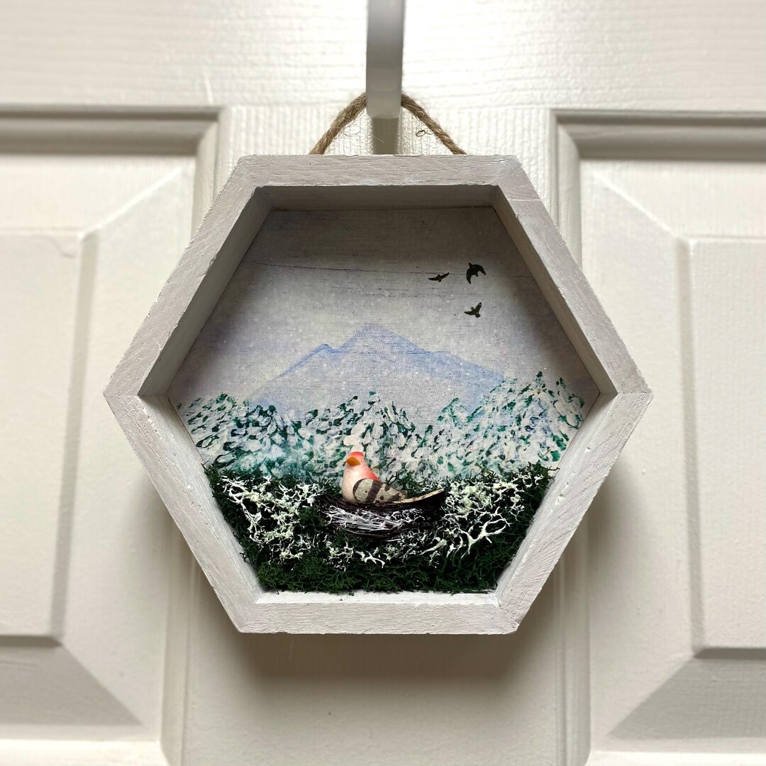 Red Bird With Winter Scene Shadow Box - Hexagon - Etsy
