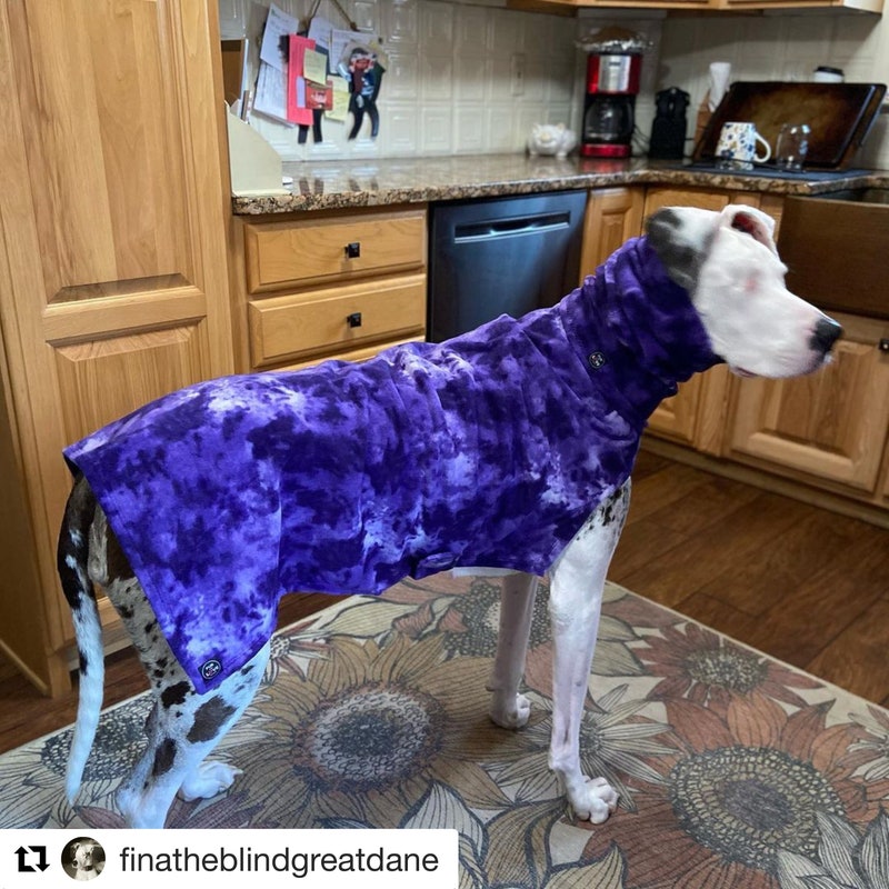 Great Dane Coat - Etsy