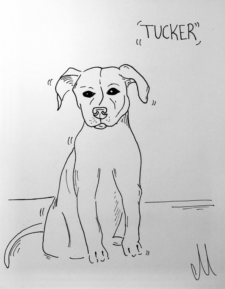 Personalized Line Pet Drawing Artwork - Etsy