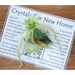 Crystals for New Home, New Home Crystal Set, New Home Crystals, New ...