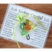 Job Seeker Crystal Set, Job Seeker Crystals Set, Jobseekers Crystals ...