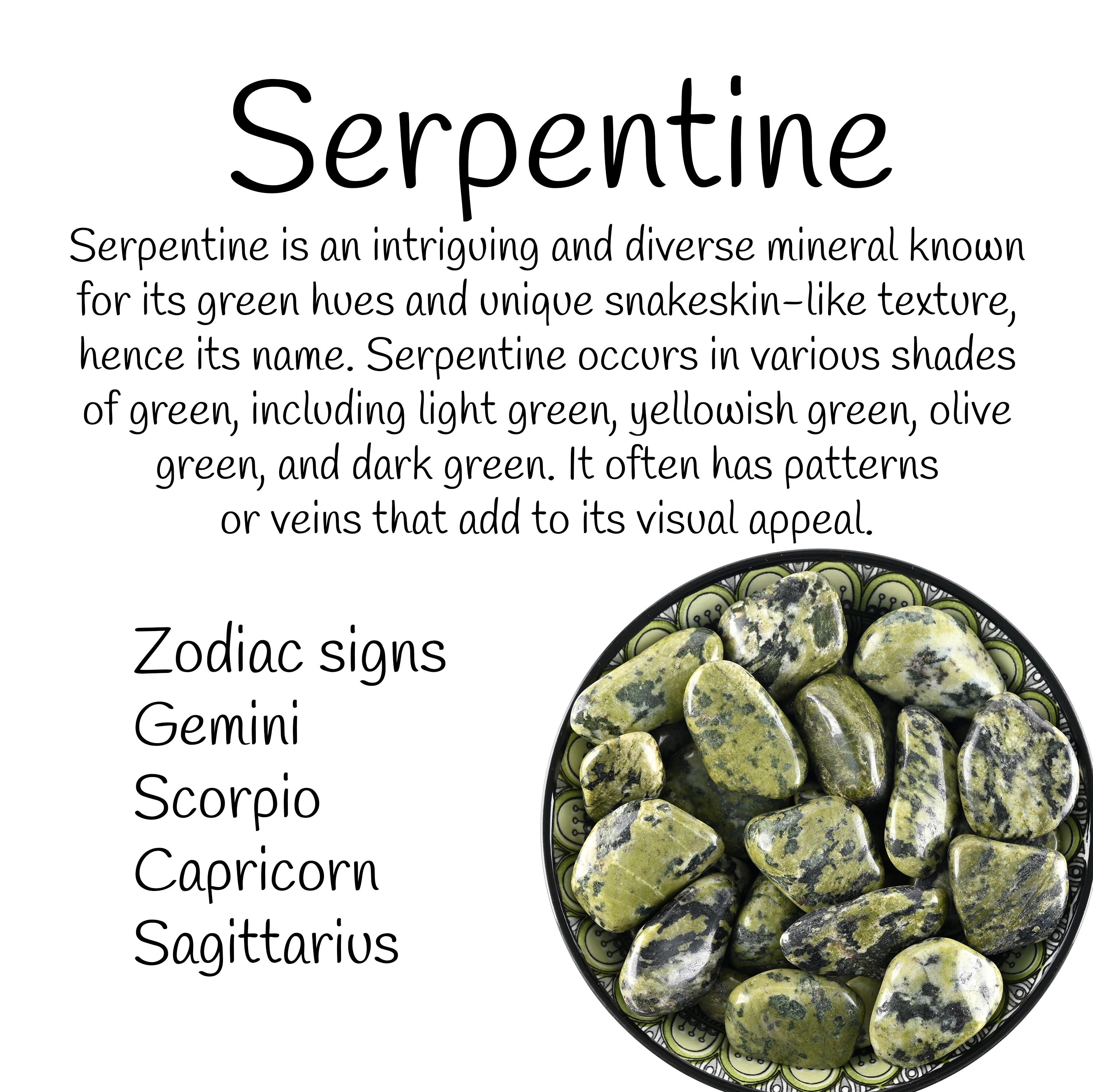 Serpentine zodiac 60 photos - Youhoroscope.com