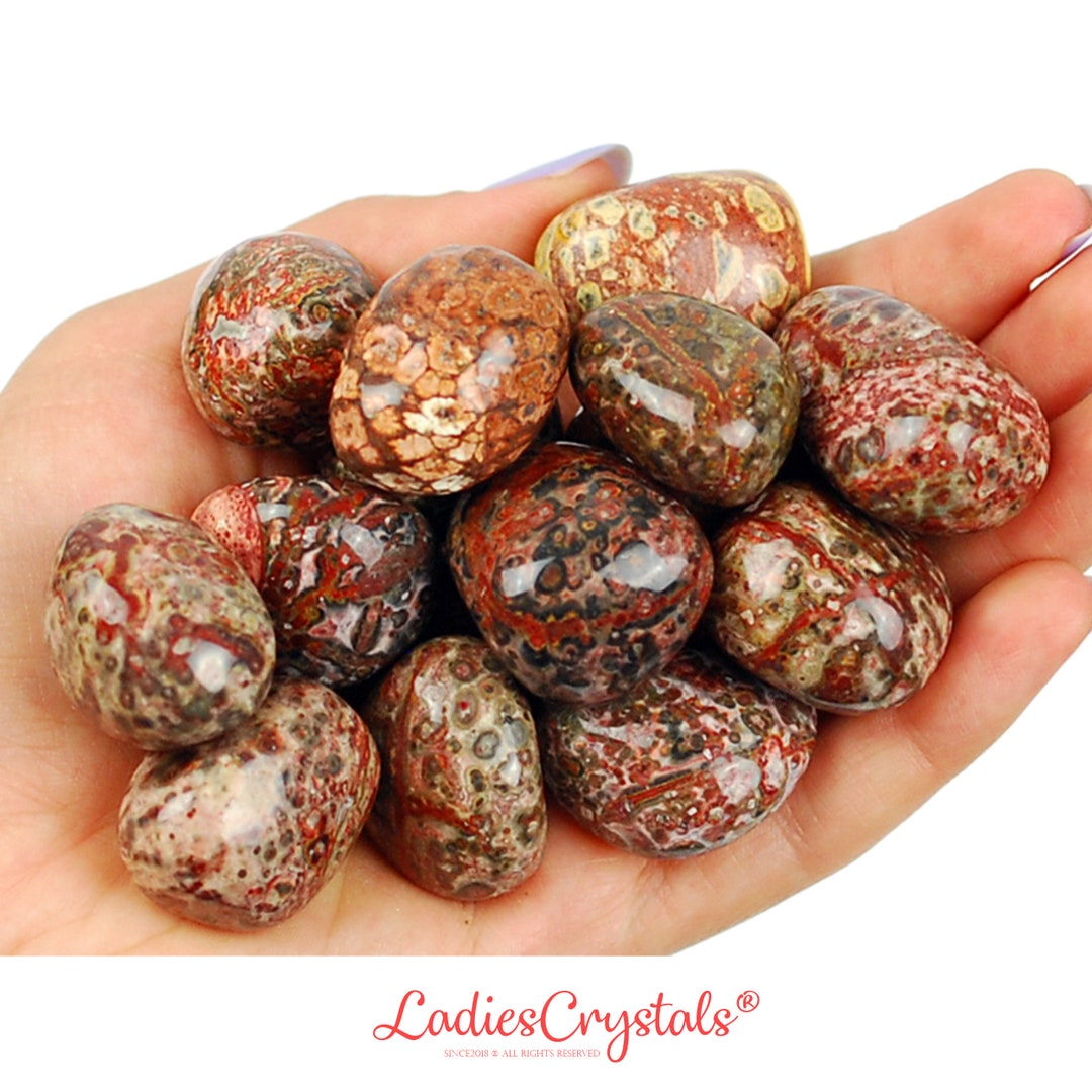Leopardskin Jasper Tumbled Stone, Leopardskin Jasper, Tumbled Stones ...
