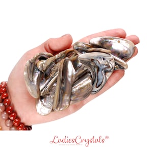 Abalone Shell, Abalone Shells, Мother of Pearl, Wedding Favors, Stones ...