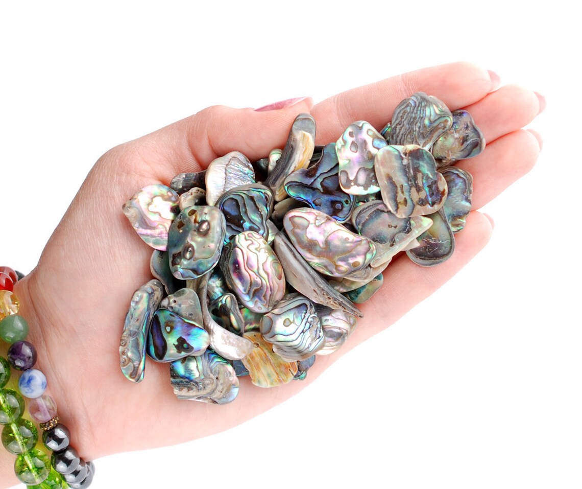 Set of 10 Abalone Shells Sedef Abalone Shell Stones Healing | Etsy