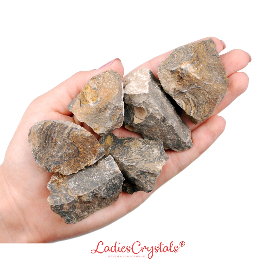 Stromatolite Raw Stone, Rough Stromatolite, Ancient Fossil Stone, Raw ...