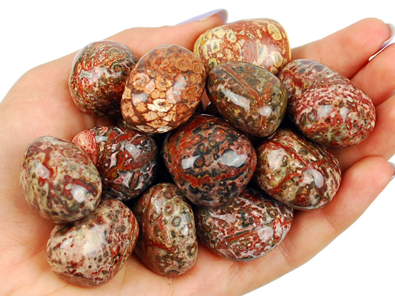 Leopardskin Jasper Tumbled Stone Leopardskin Jasper Tumbled - Etsy