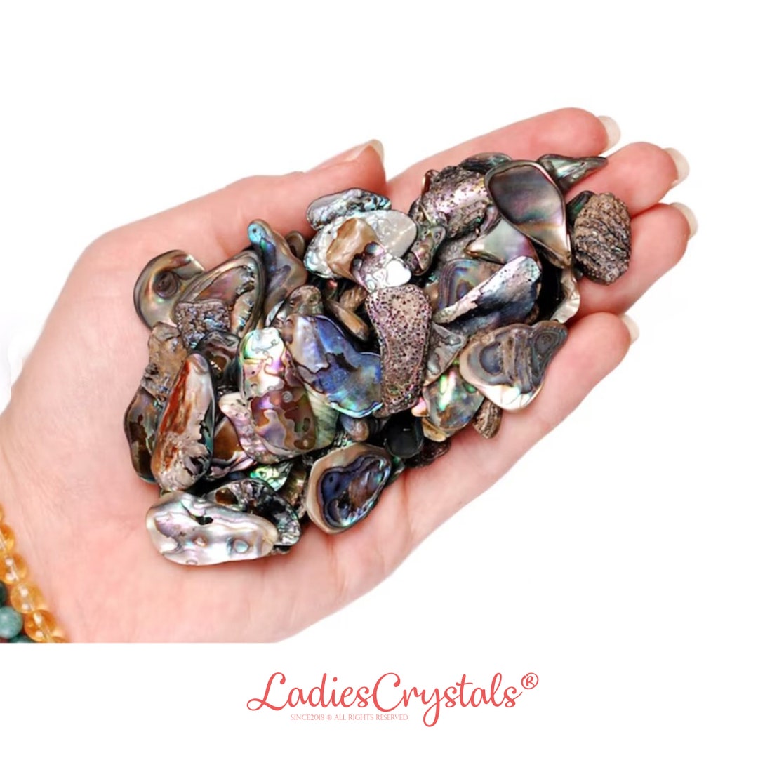 Set of 20 Abalone Shells, Abalone Shell, Shells, Raw Abalone Shell, Raw ...