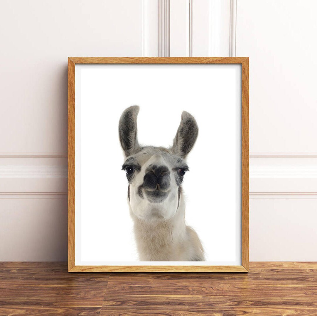 Llama Art Print Digital Download, Printable Art, Llama Decor, Quirky ...