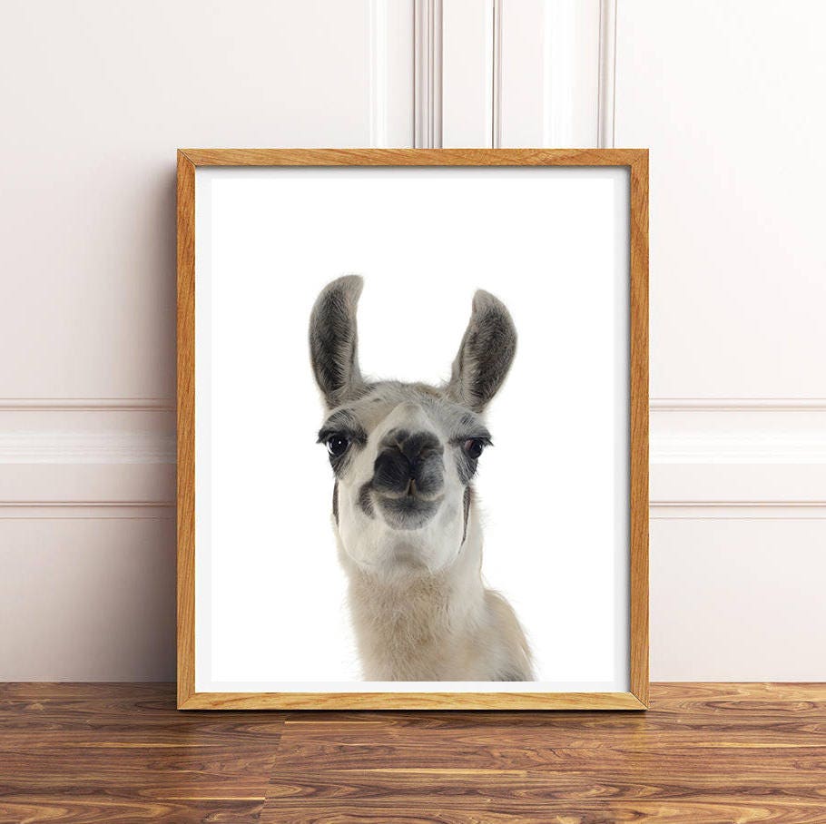 Llama Art Print Digital Download, Printable Art, Llama Decor, Quirky ...