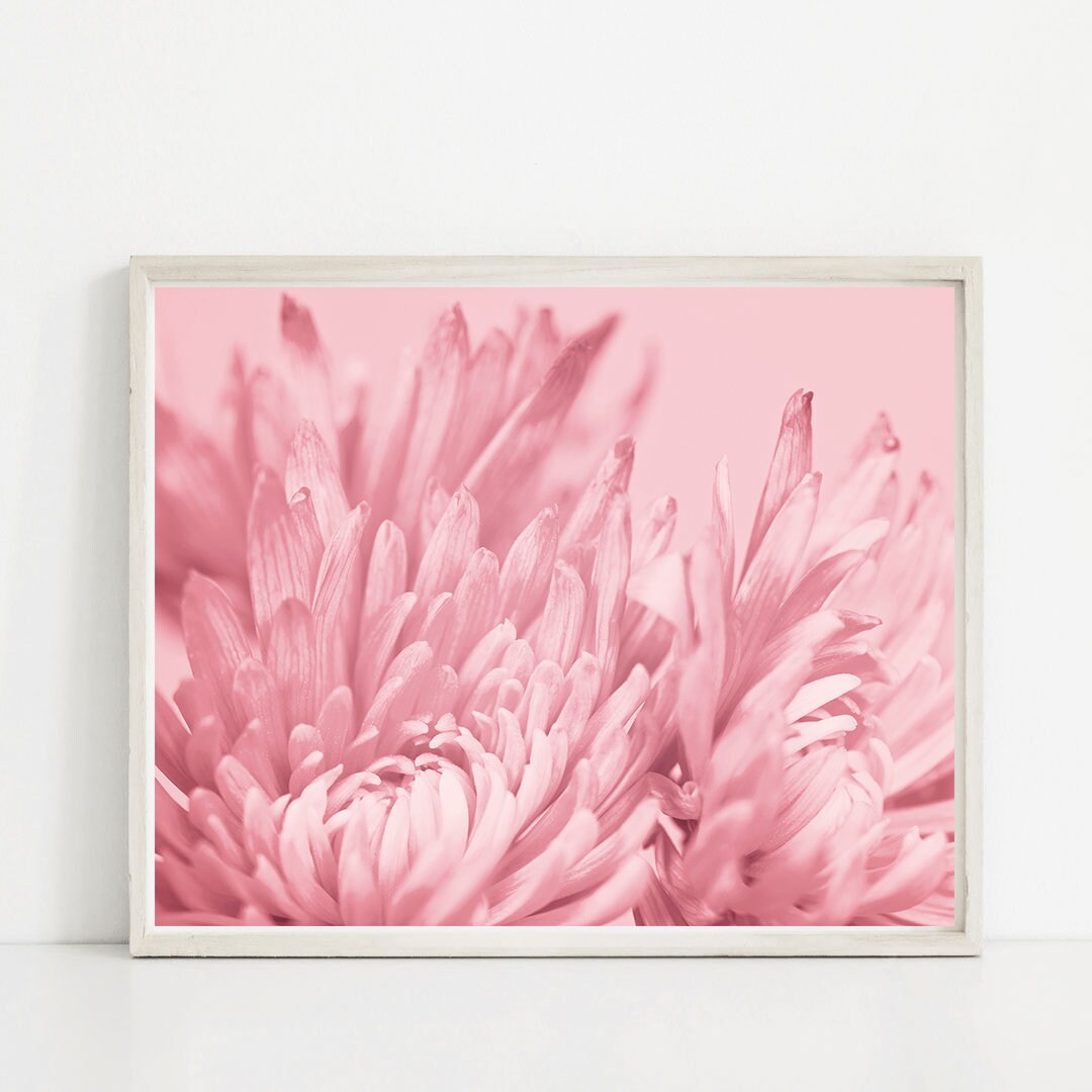 Blush Pink Flower Print, Blush Pink Decor, Digital Download, Blush Pink ...