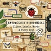 Specimen Slide Kit, Digital Insect Ephemera, Entomology Printable ...