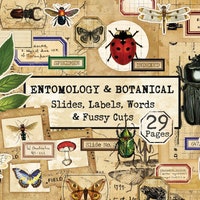 Specimen Slide Kit, Digital Insect Ephemera, Entomology Printable ...