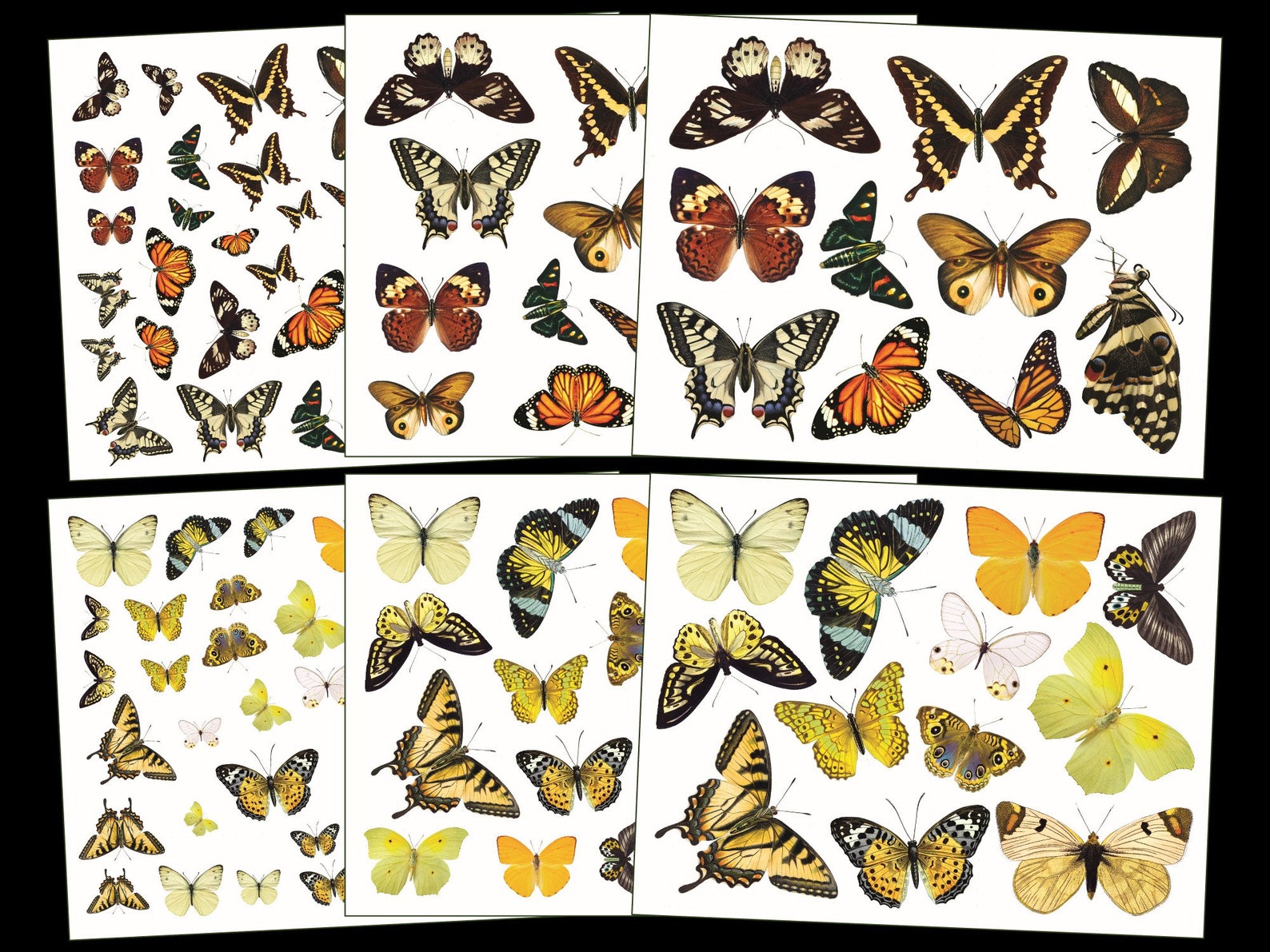 Butterfly Fussy Cut Mega Pack 164 Digital Fussy Cut - Etsy