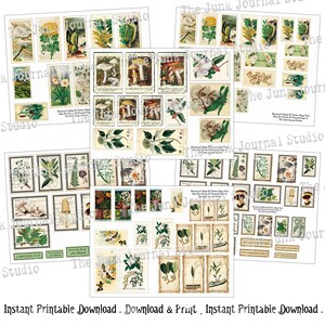 MEGAPACK - Botanical Collage Cluster Kit Series, Botanical Base Kit ...