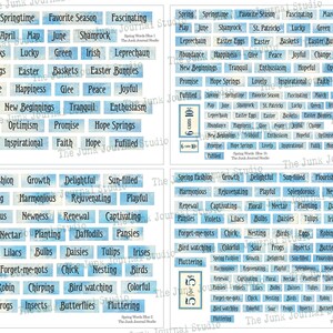 Huge Spring Bounty Kit 6, Spring Words, Definitions and Phrases Digital ...