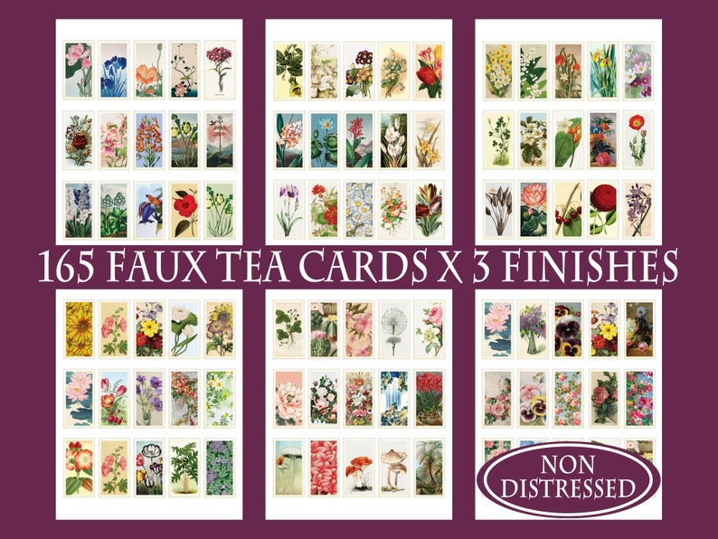 Tea Cards MEGA PACK Faux Tea Cards Digital Tea Cards - Etsy