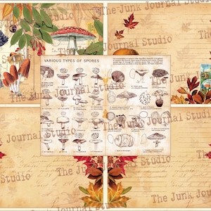 Huge Fall Junk Journal Kit, Fall Bounty Kit One Journal Pages, Autumn ...