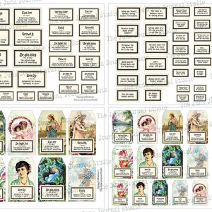 Huge Spring Bounty Kit 6, Spring Words, Definitions and Phrases Digital ...