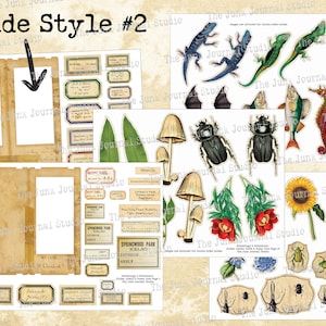 Huge Specimen Slide Kit, Entomology and Botanical Digital Kit, Specimen ...