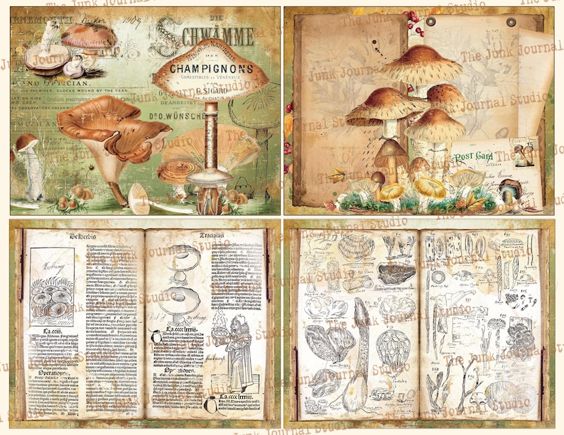 Mushrooms From Days Gone by Digital Kit 1, Mushroom Junk Journal ...